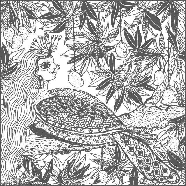 who we are - CREA - Feminist Human Rights